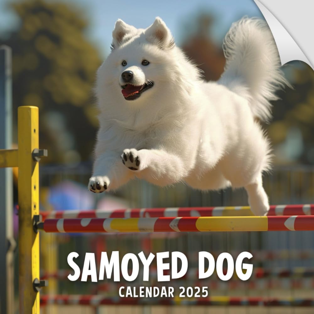 Samoyed Dog Calendar 2025: 365 Days of Motivation, Includes Last 3 ...