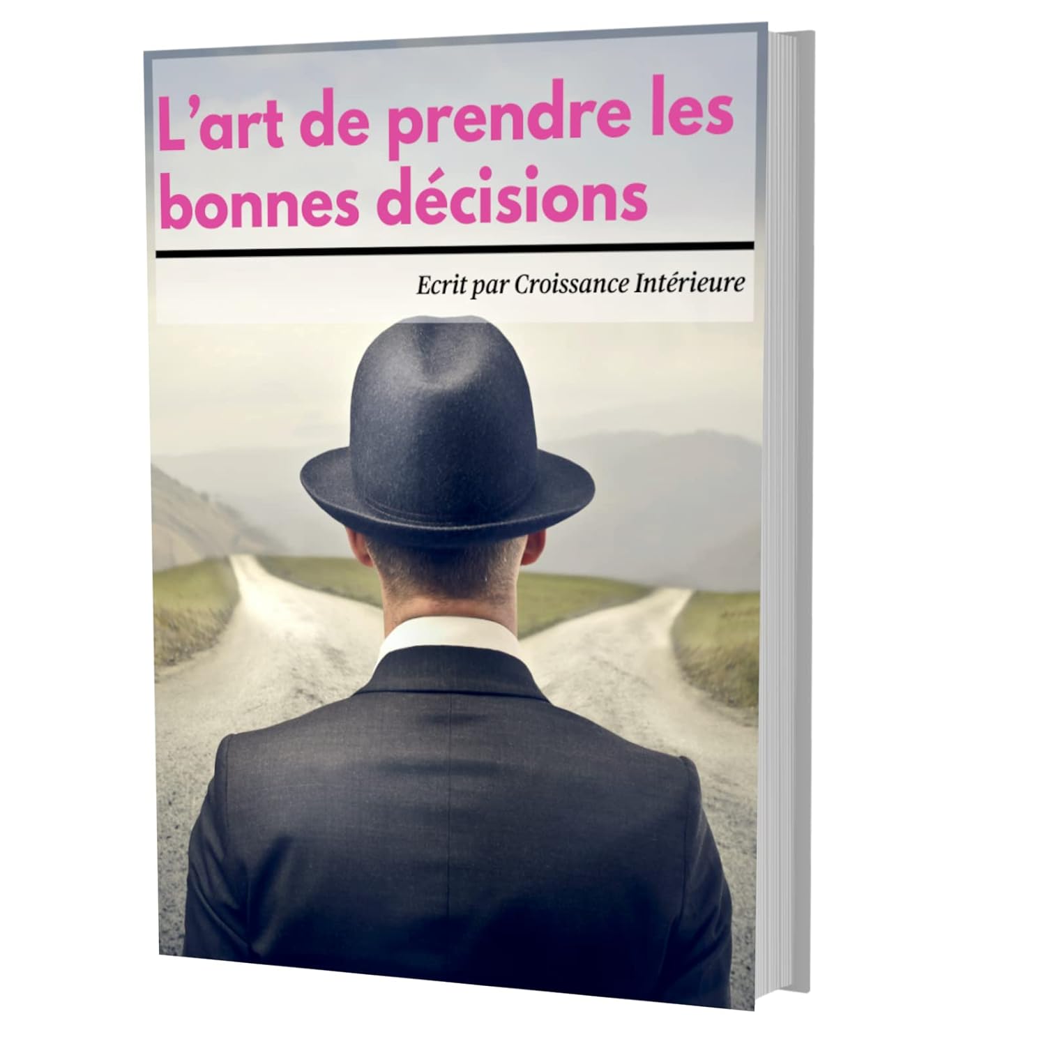 L'ART DE LA PRISE DE DECISION: Méthodes et stratégies pour prendre des décisions éclairées ...