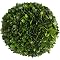 Amazon.com - BOXWOOD WORLD Preserved Boxwood Topiary Green Plant for ...