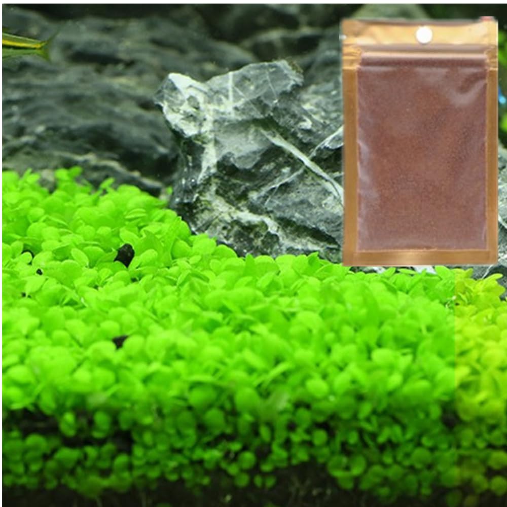Amazon.com: MISUHALOU 1-Pack Mini Leaf Aquarium Grass - Easy Growing ...