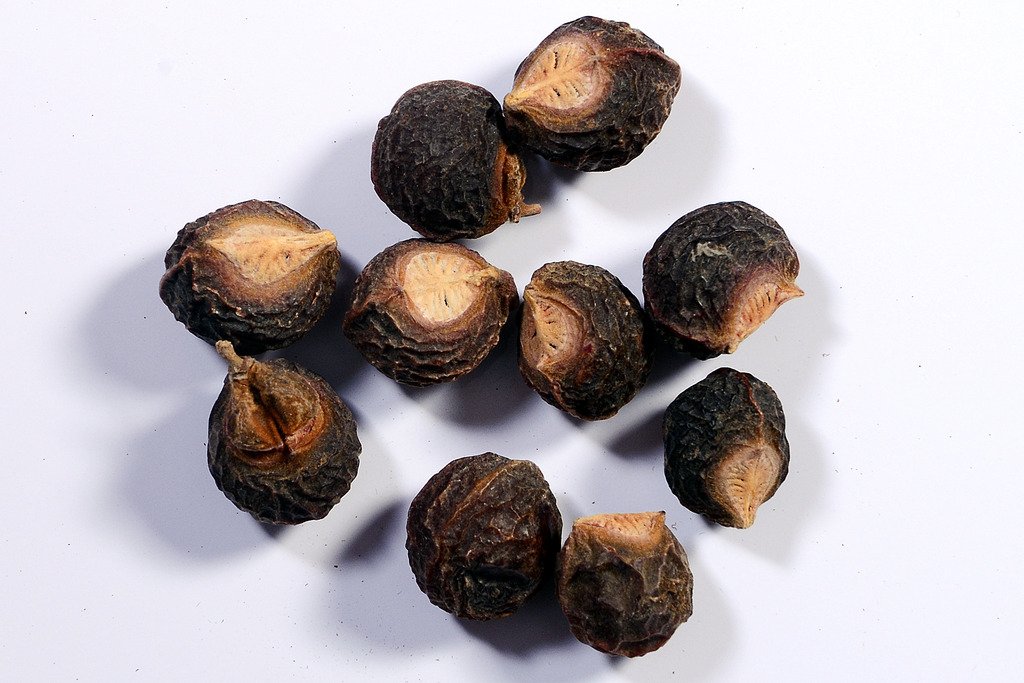RK Seeds - Soap Nut Seeds,Sapindus emarginatus known as Soapberries or Soapnuts Seeds for ...