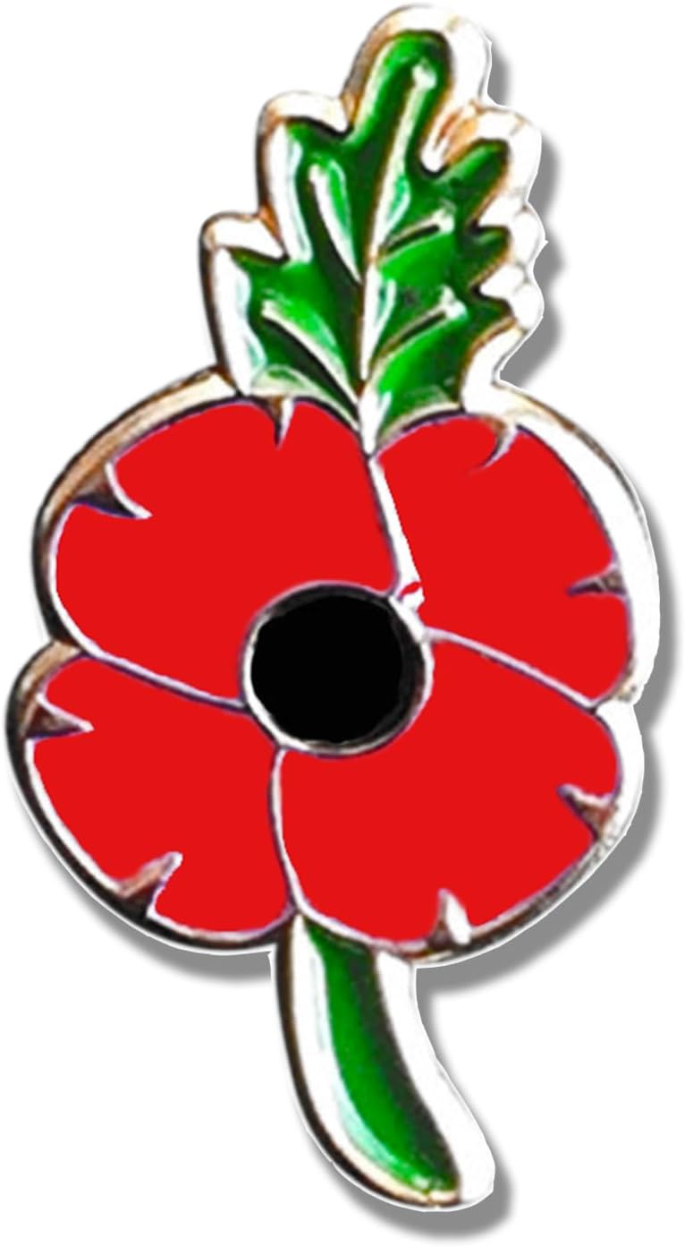 Amazon.com: Poppy Pin Gifts for Veterans Day Remembrance Day Poppy ...