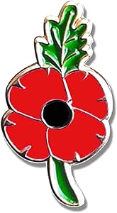 Amazon.com: Poppy Pin Gifts for Veterans Day Remembrance Day Poppy ...