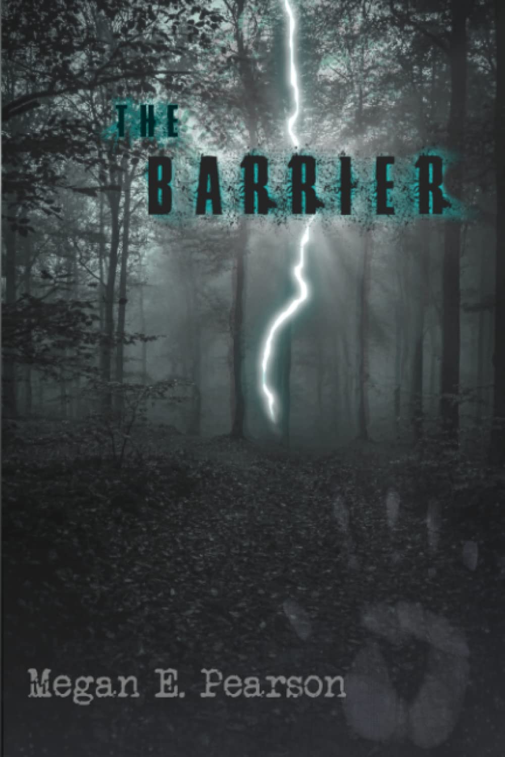 Amazon.com: The Barrier: Book One: 9798393484590: Pearson, Megan E: Books