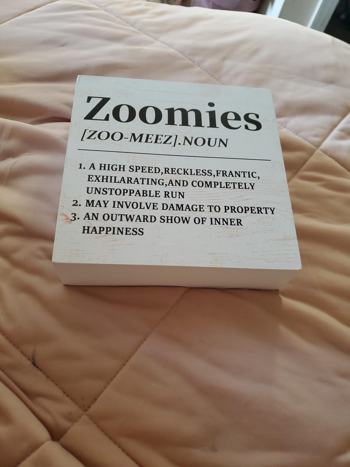Amazon.com: Calyders Dog Lover Gift 7 x 7 inches Zoomies Definition ...