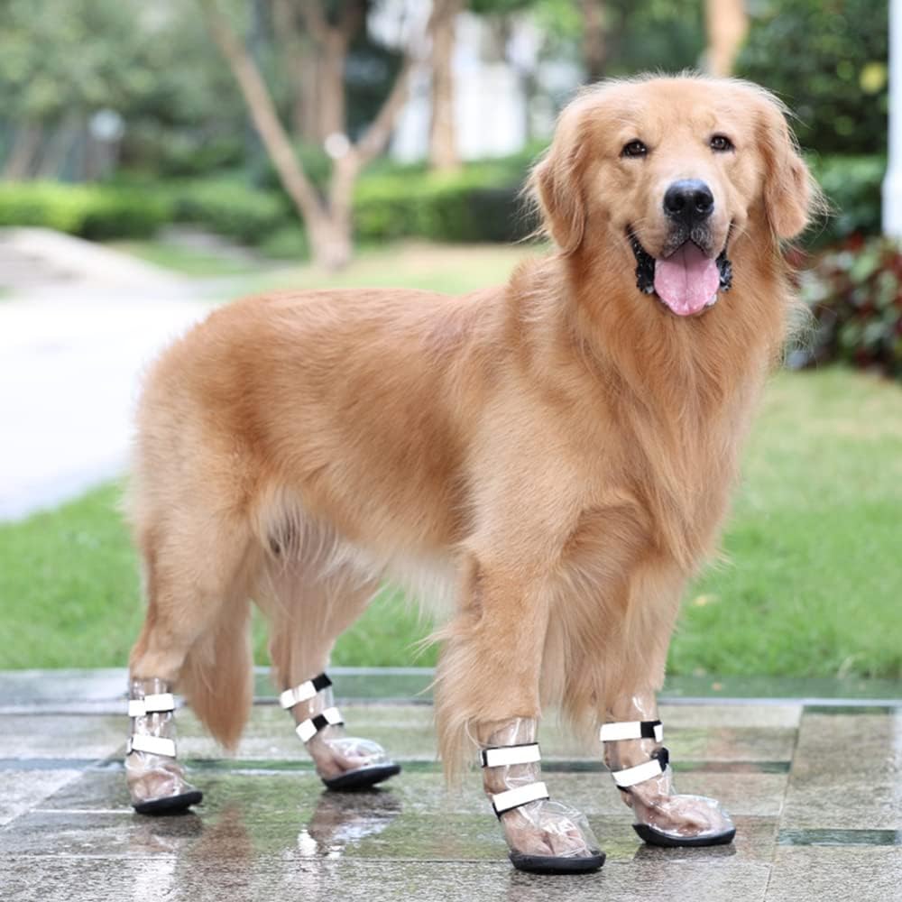 Amazon.com : Mochalight 4Pcs Pet Transparent Rain Shoes with Reflective ...