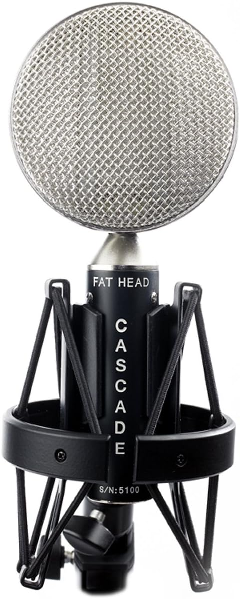 Amazon.com: Cascade Microphones FAT HEAD - Black/Silver : Musical ...