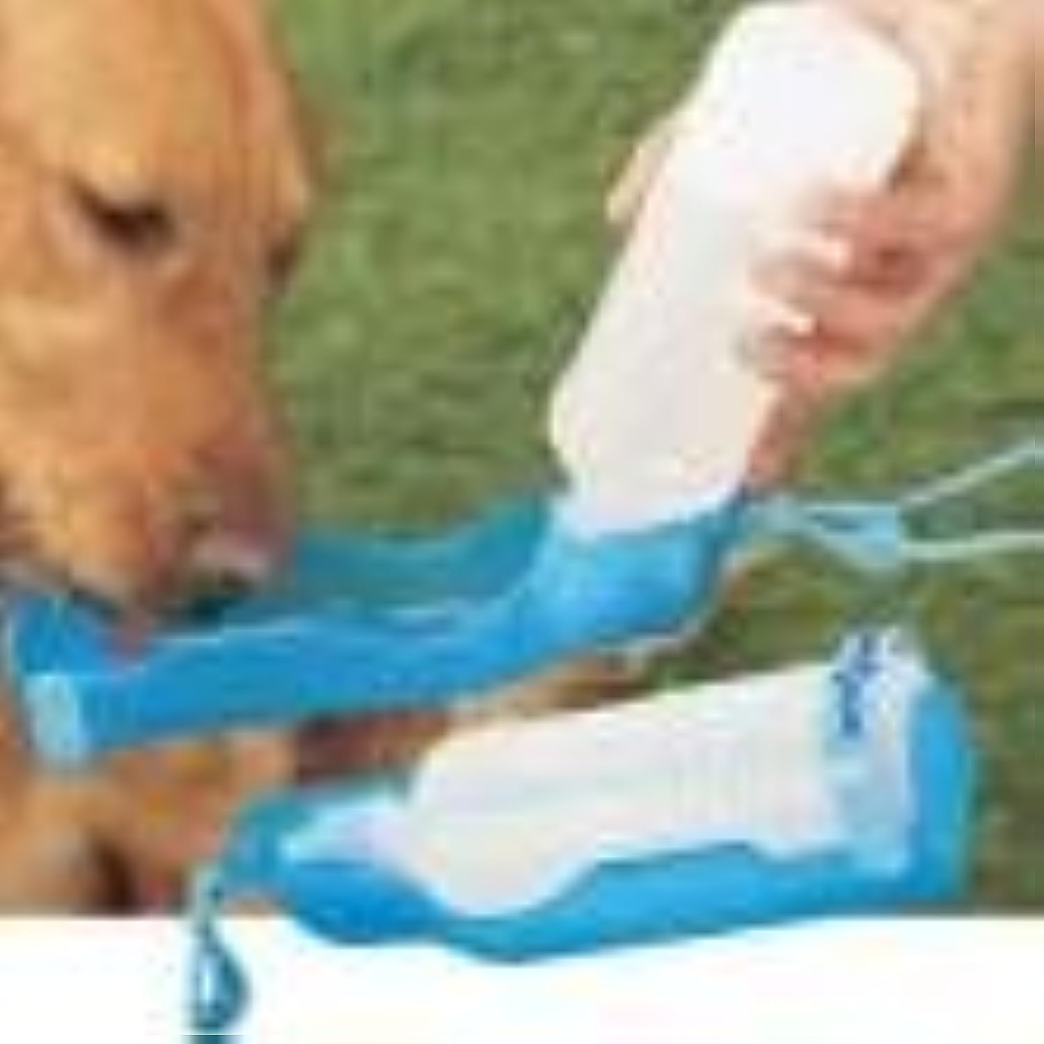 Pet Supplies : Handi Drink Portable Dog Water Small (17 oz) : Pet Water ...