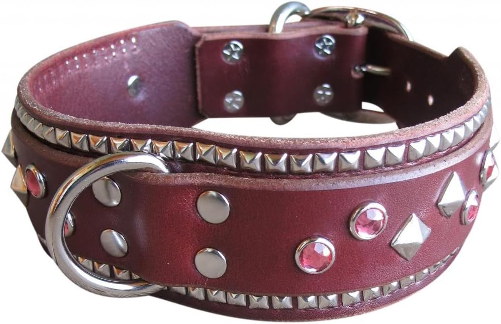Amazon.com : Paco Collars - "Booker Deluxe - Exclusive Handmade Leather ...