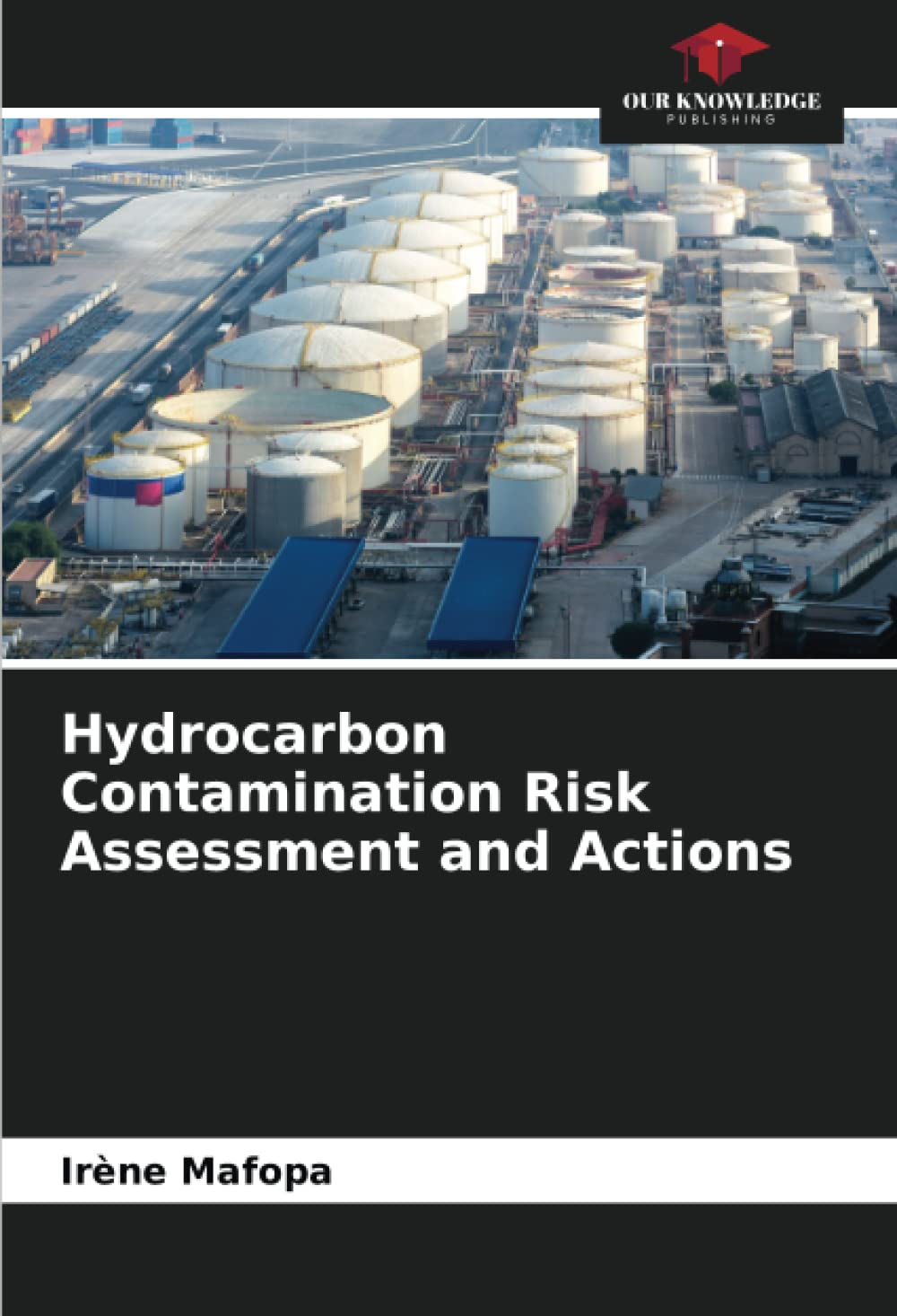 Buy Hydrocarbon Contamination Risk Assessment and Actions Book Online ...