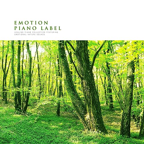 Amazon.com: Healing Piano Collection Featuring Emotional Nature Sounds ...