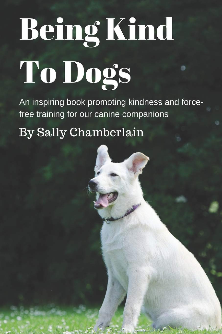Can Dogs Sense Kindness