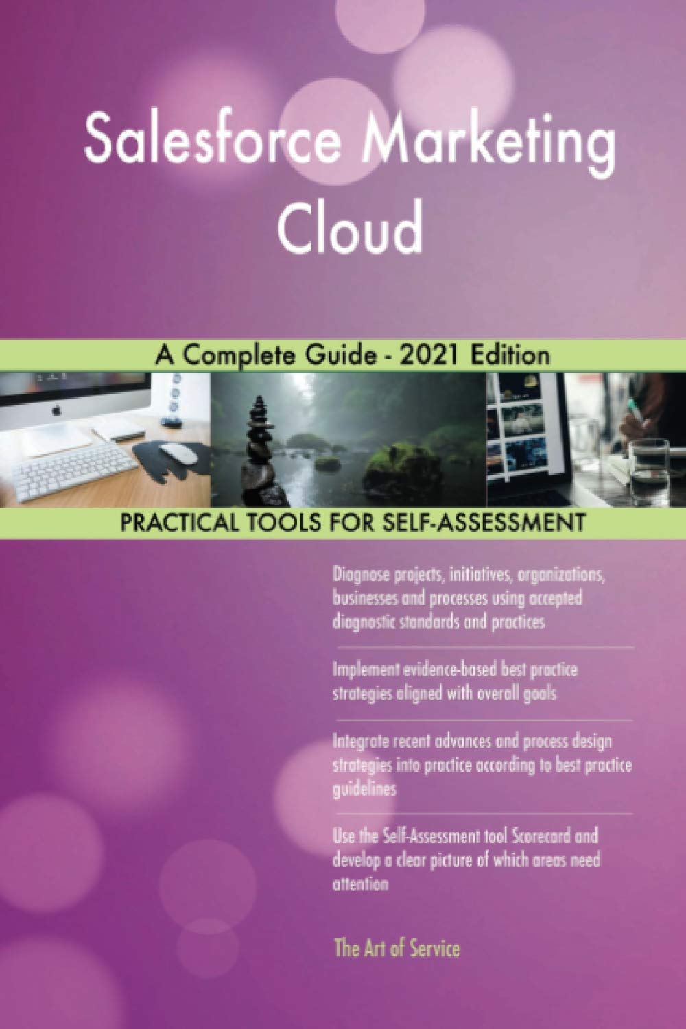 Salesforce Marketing Cloud A Complete Guide - 2021 Edition: The Art of ...