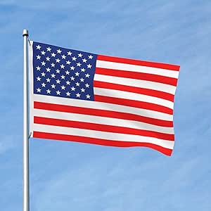 Amazon.com : Custom 3x5 FT Double Sided Personalized Flag - Add Your Own Image/Text - Customize ...