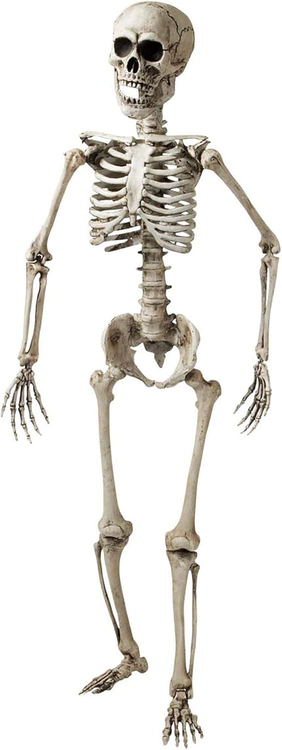 Posable Skeleton - 160cm Accessory for Halloween Living Dead Fancy ...