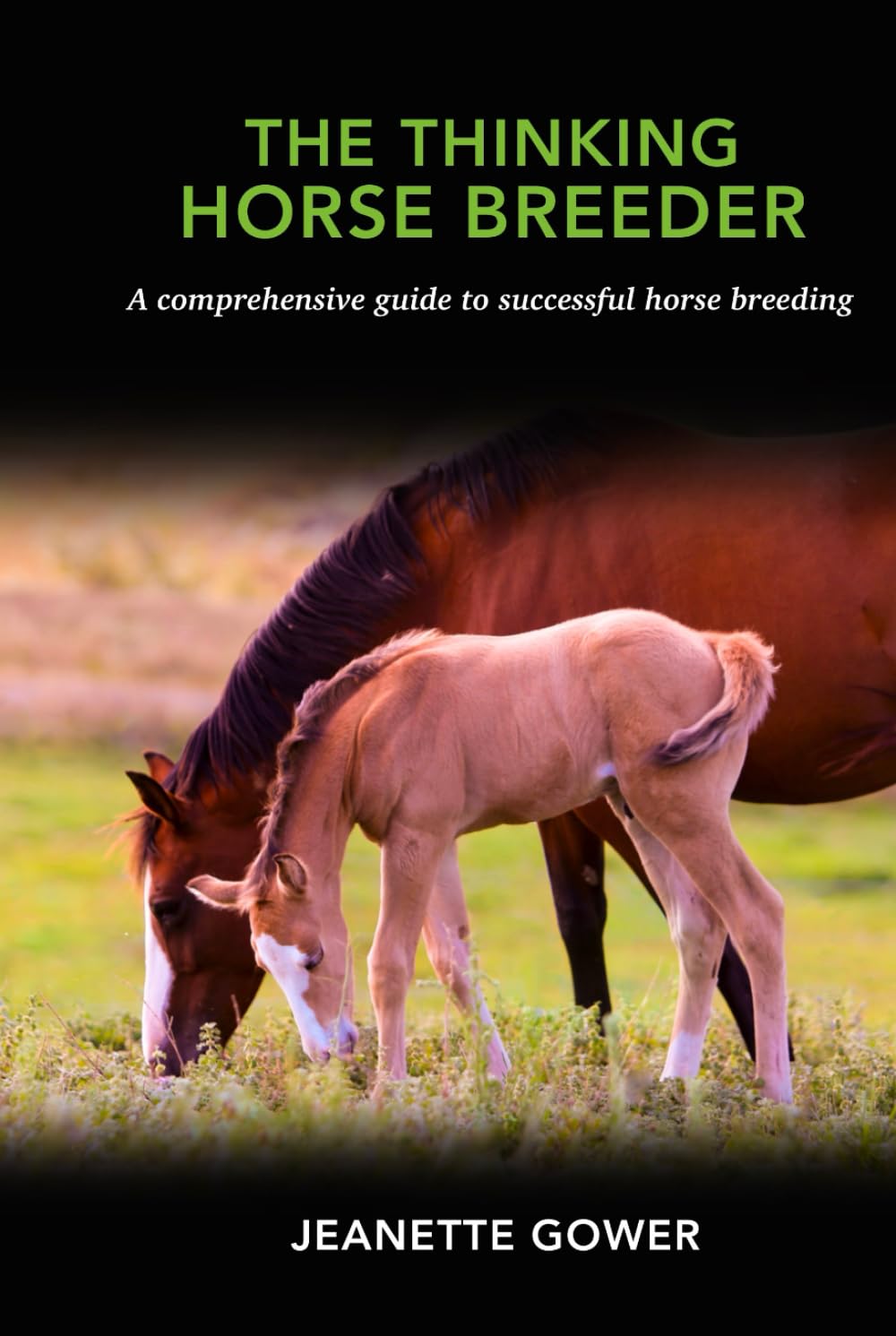 The Thinking Horse Breeder: A comprehensive guide to successful horse ...
