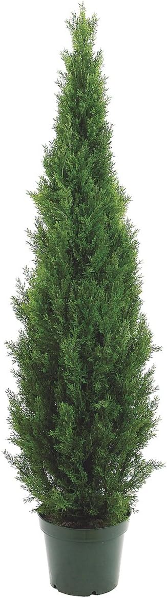 Amazon.com - Silk Décor Cedar Topairy in Plastic Pot, 72-Inch, Green ...