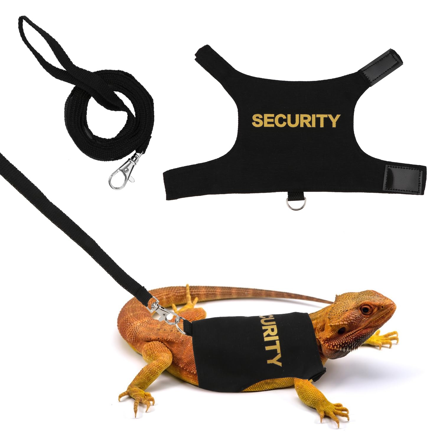 Amazon.com: Hypeety Bearded Dragon Harness and Leash Set Adjustable ...