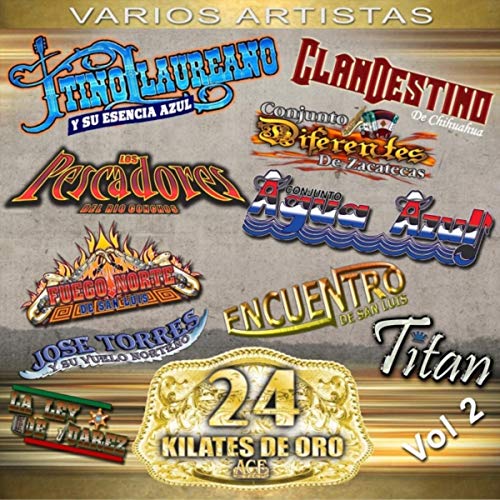 Amazon.com: 24 Kilates de Oro Vol, 2 : VARIOUS ARTISTS: Digital Music