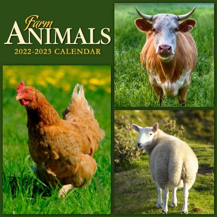 Buy Farm Animals Calendar 2022: Farm Animals Calendar 2022-2023 animals ...