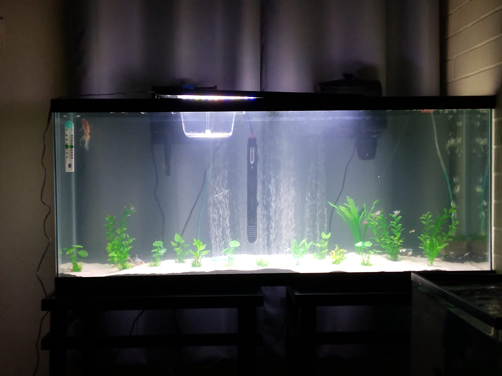 $21/mo - Finance Tetra Glass Aquarium 29 Gallons, Rectangular Fish Tank ...