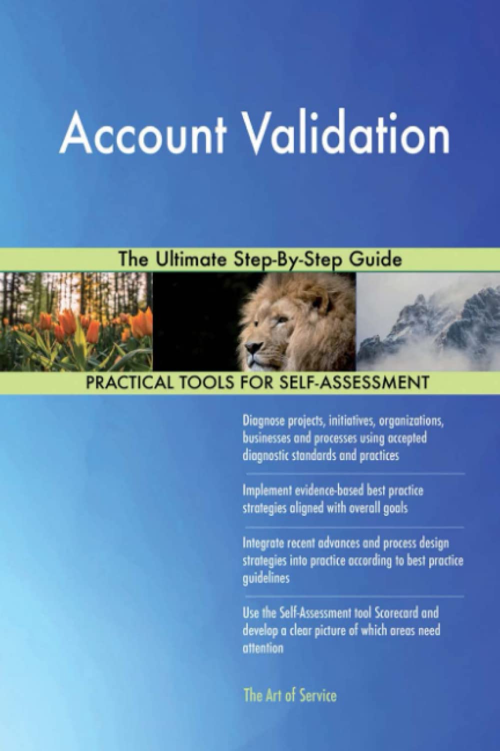 Buy Account Validation The Ultimate Step-By-Step Guide Book Online at ...