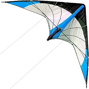 Double String Stunt Kite for Adults, Easy to Fly, (48 x 24) in Dual ...