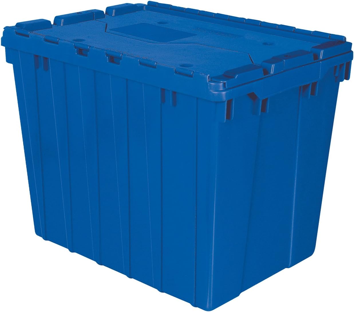 Amazon.com: Global Industrial Blue Distribution Container With Hinged ...