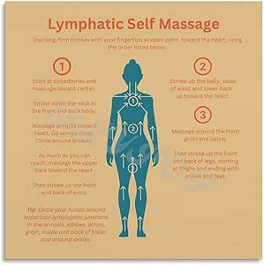 Amazon.com: Lymphatic Drainage Map Poster Lymphatic Self-Massage (2 ...