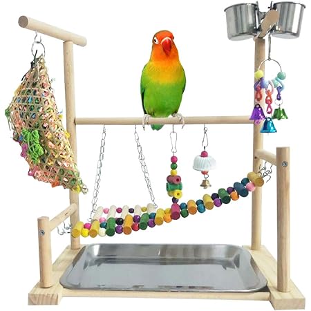 Amazon.com : kathson Parrots Playground Bird Perch Gym Playpen Birds ...