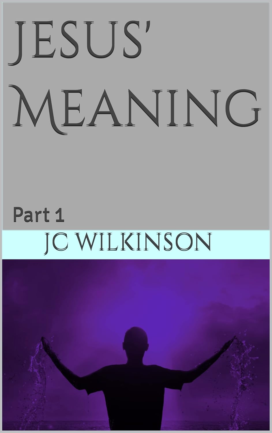What Did Jesus Say?: Part 1 - Kindle edition by Wilkinson, JC. Religion ...