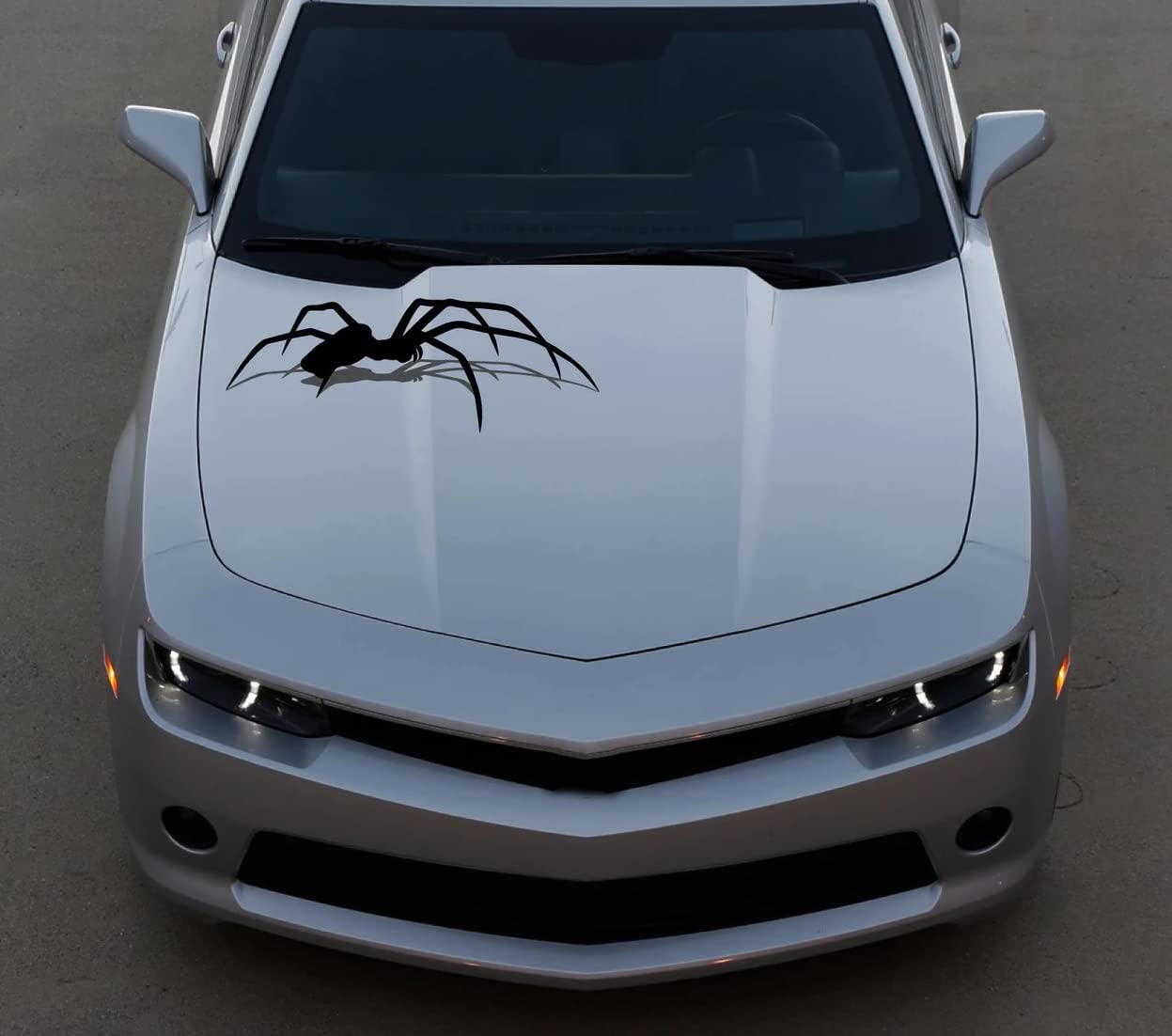 Spider Car Graphics