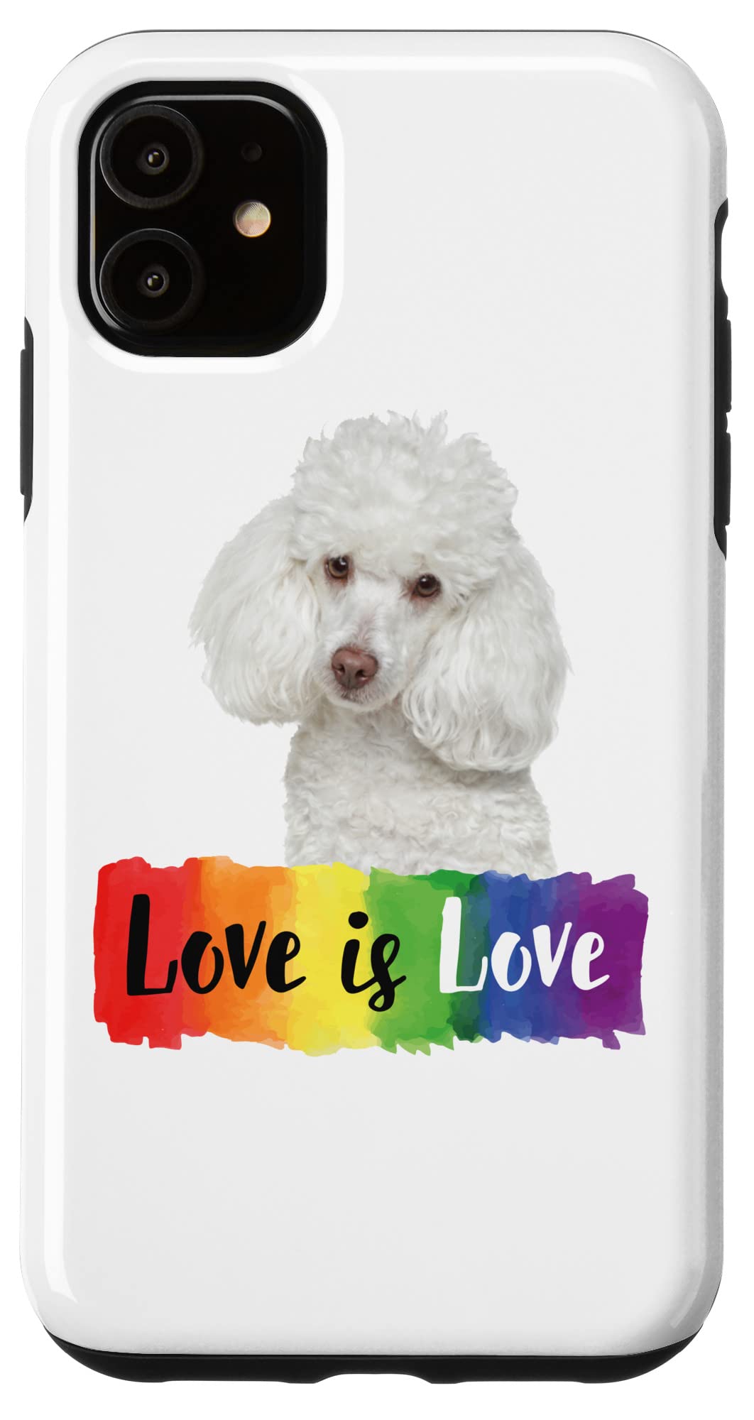 When Do Toy Poodle Testicles Descend