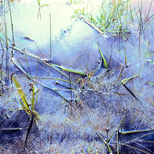 Amazon MusicでGeorge BarberaのDreams and Improvisationsを再生する