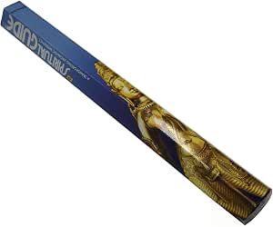Amazon.com: Padmini Spiritual Guide Incense - 20 Sticks Hex Pack: Home ...