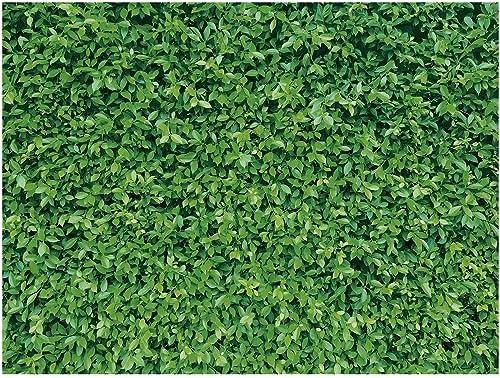 Amazon.com : Green Leaves Photography Backdrops Spring Nature Outdoorsy ...