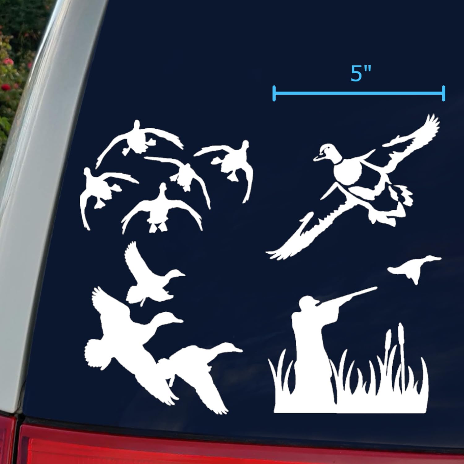 Ducks Landing Decal Banking Pintail Decal – East Coast Waterfowl