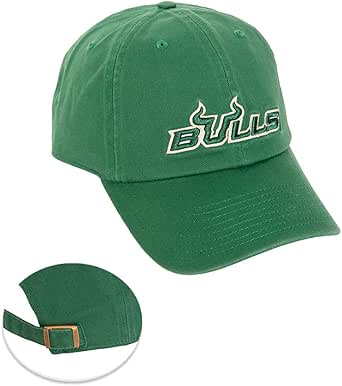 Amazon.com: Desert Cactus University of South Florida Baseball Hat USF ...