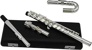 Amazon.co.jp: Student Flute 16 Holes Curved Head Tube C Offset G Key ...