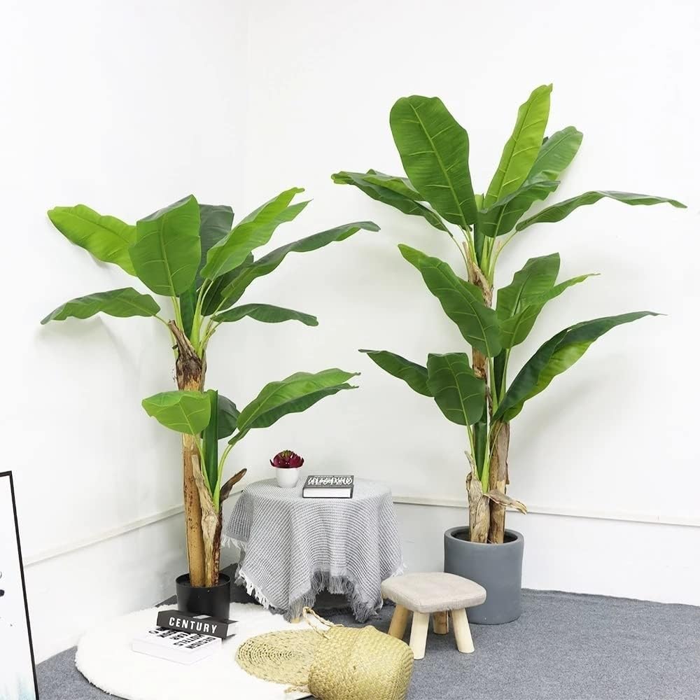 Bananenbomen Landschapsarchitectuur Wageningen World 02 2024 By