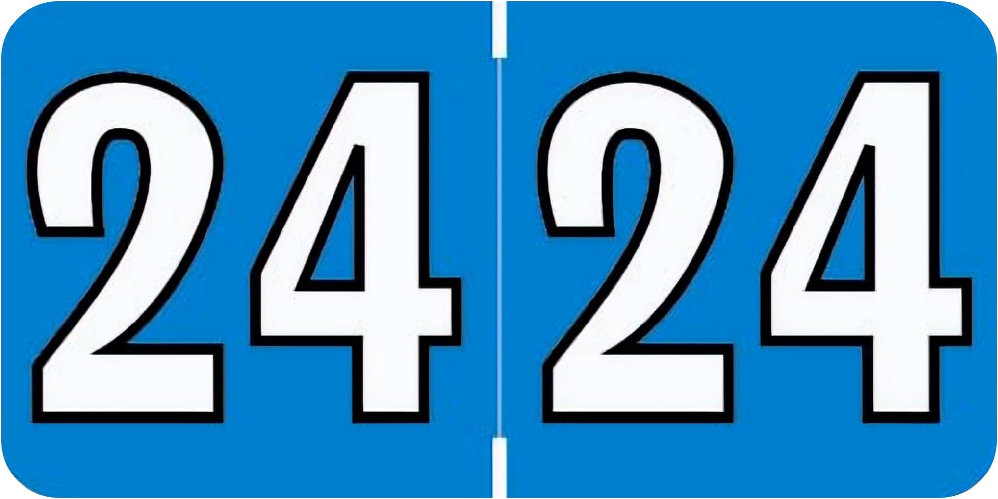 Amazon.com : 2024 Year Stickers, Doctor Stuff 2024 Chart Stickers, Blue ...