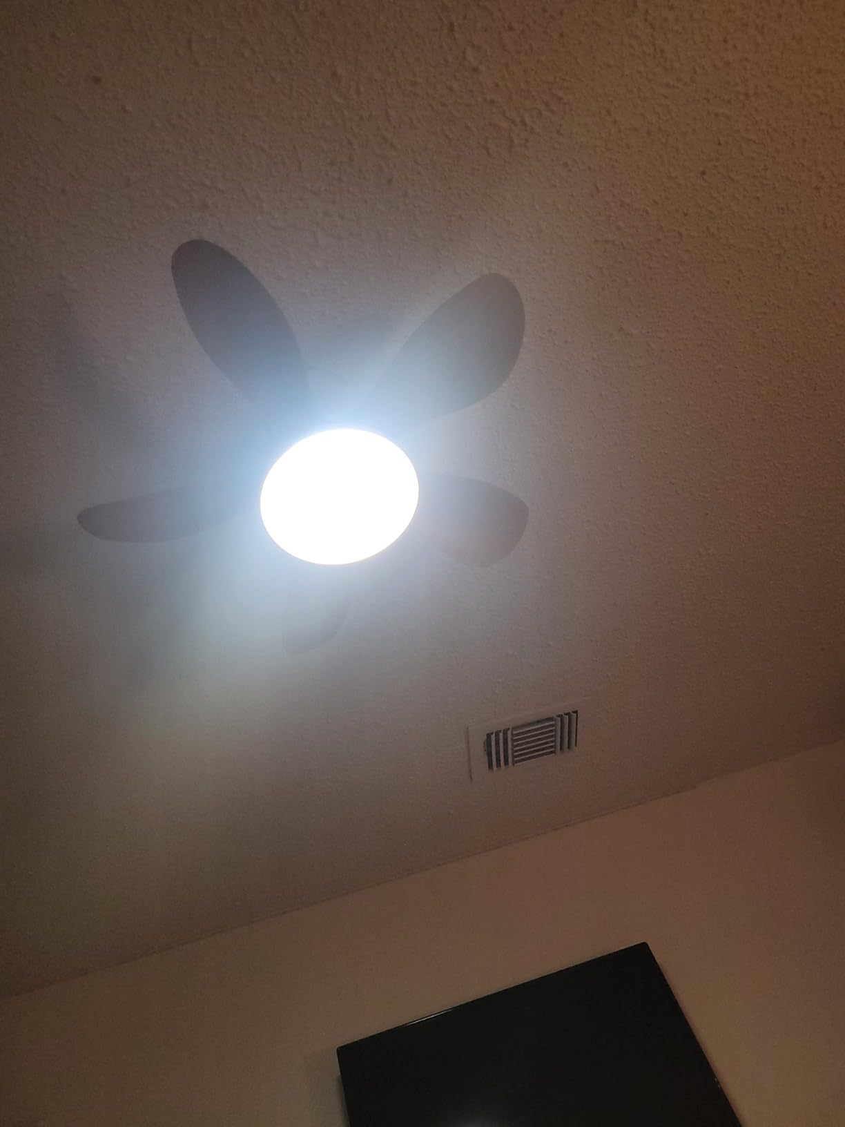 Amazon.com: Yoedivu Flush Mount Ceiling Fans with Lights and Remote, 30 ...