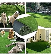 Amazon.com: Petgrow Customized Sizes Artificial Grass Turf 3FTX10FT(30 ...