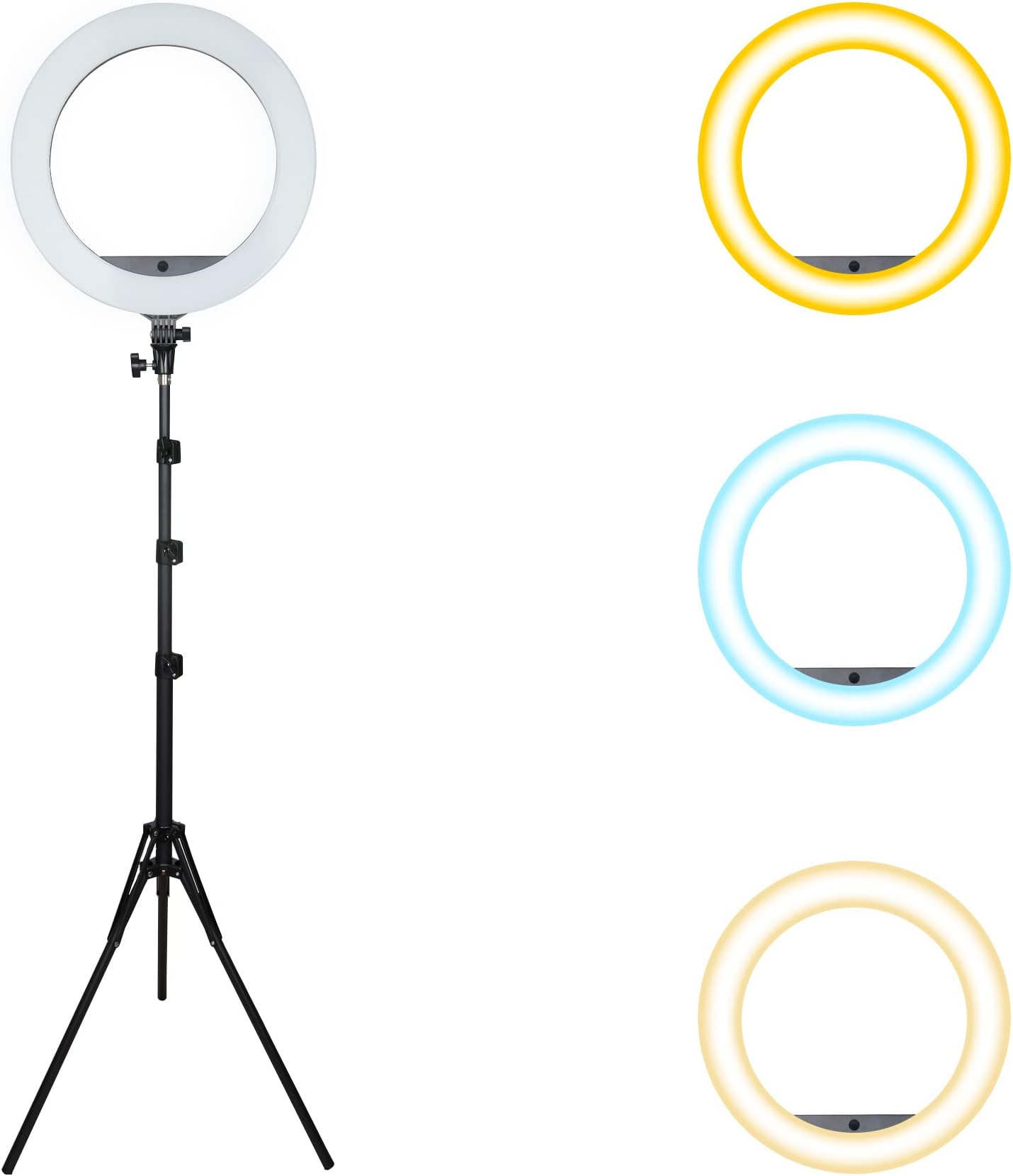 18 inch LED Ring Light with Tripod Stand and Phone Holder – Dimmable ...