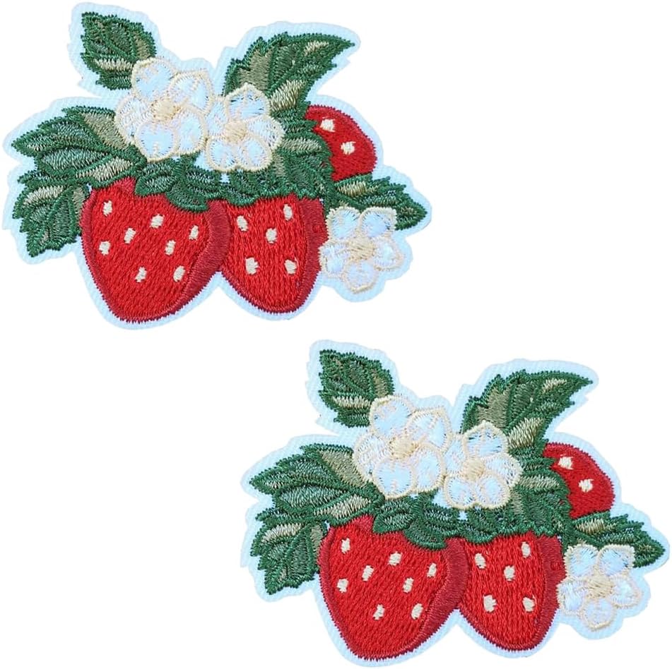 Amazon.com: TH Pretty Red Strawberry Cute Fruit Logo Embroidered Sew on ...