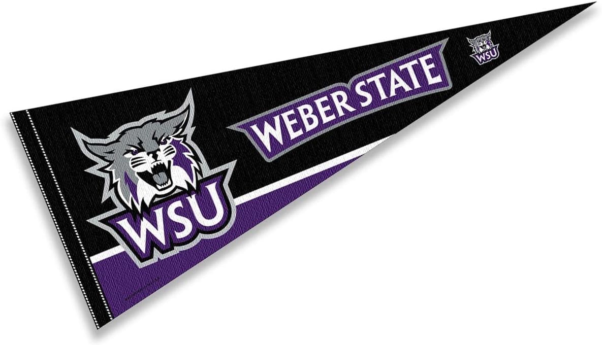 Amazon.com : Northeastern University Pennant Full Size Felt : Sports ...
