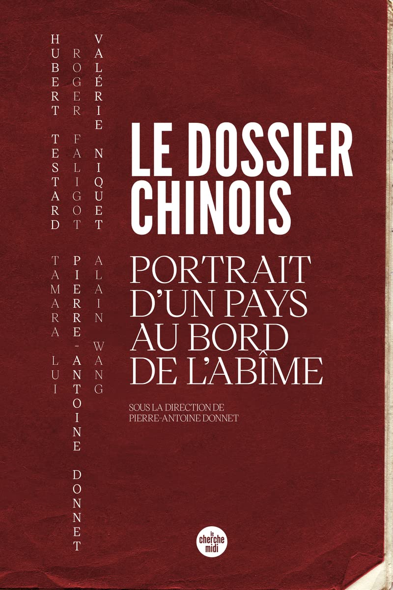 Amazon.com: Le dossier chinois - Portrait d'un pays au bord de l'abîme ...