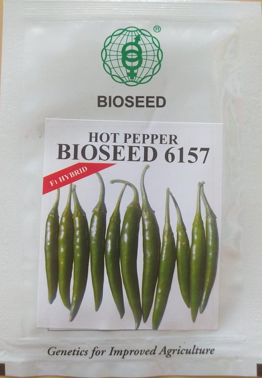 Hot Pepper 6157 Seed 10g Pack : Amazon.in: Health & Personal Care