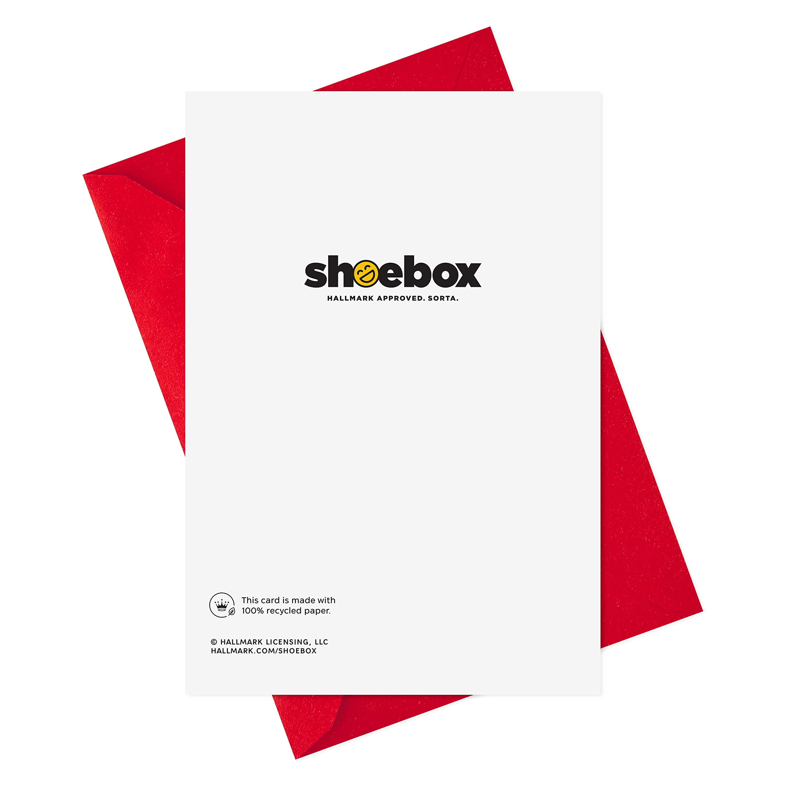 Snapklik.com : Hallmark Shoebox Pack Of 4 Funny Valentines Day Cards