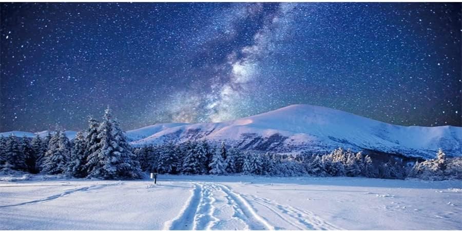 Amazon.com : Yeele 12x6ft Winter Snowy Scene Backdrop White Snow ...
